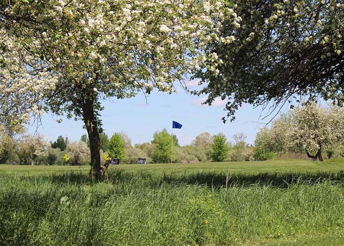 Moss Ridge Golf Club | Experience Michigan Golf